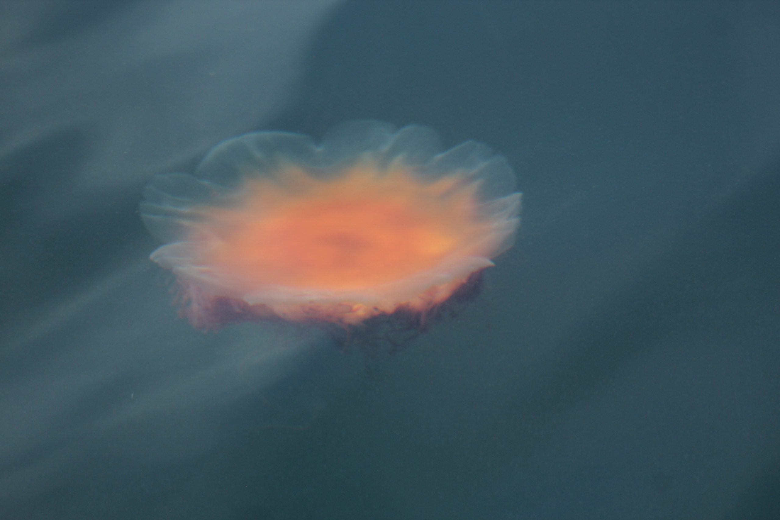 Chapin Bay to Warm Springs – The McBrides