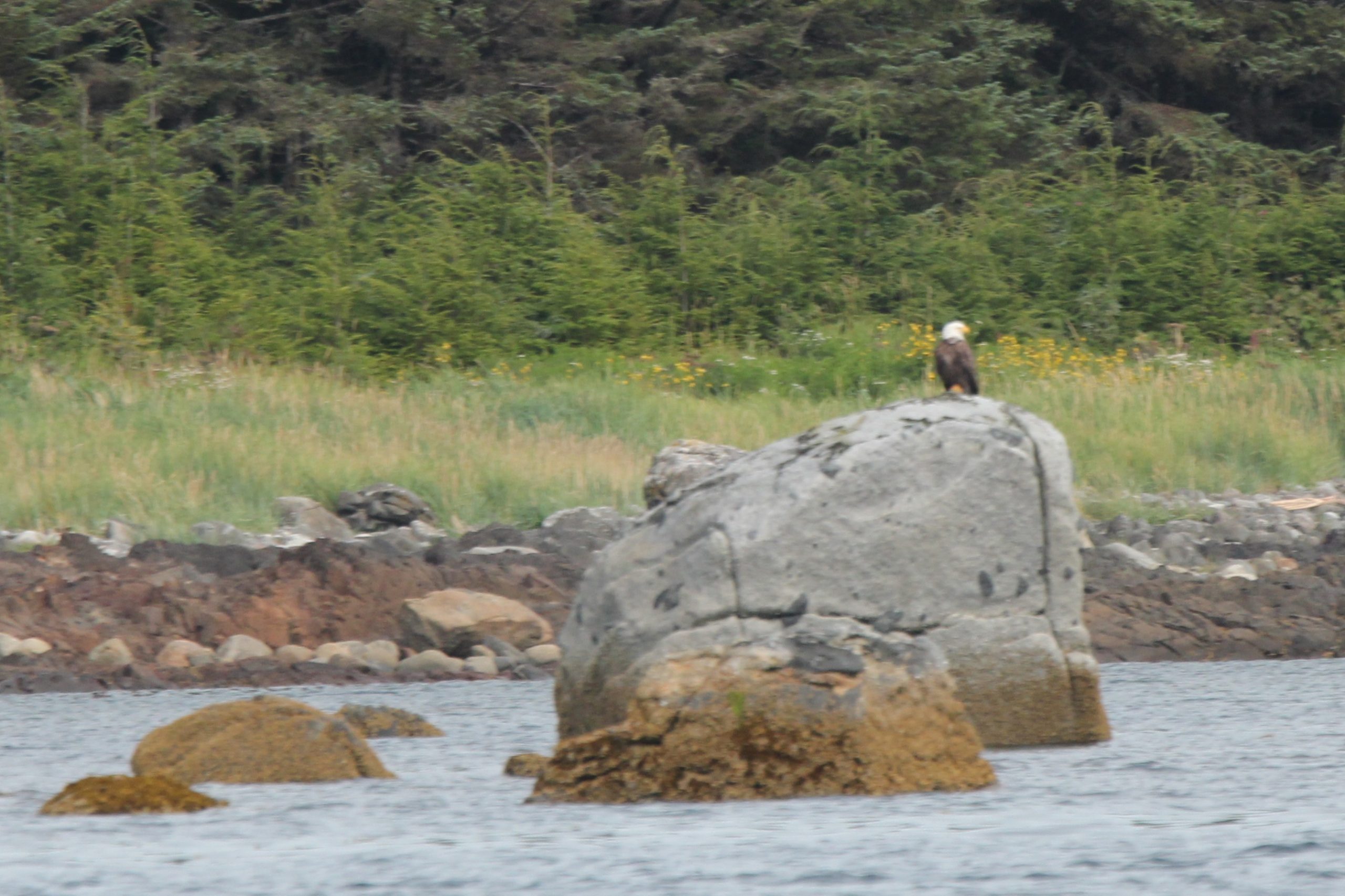Swanson Harbor to St. James Bay – The McBrides